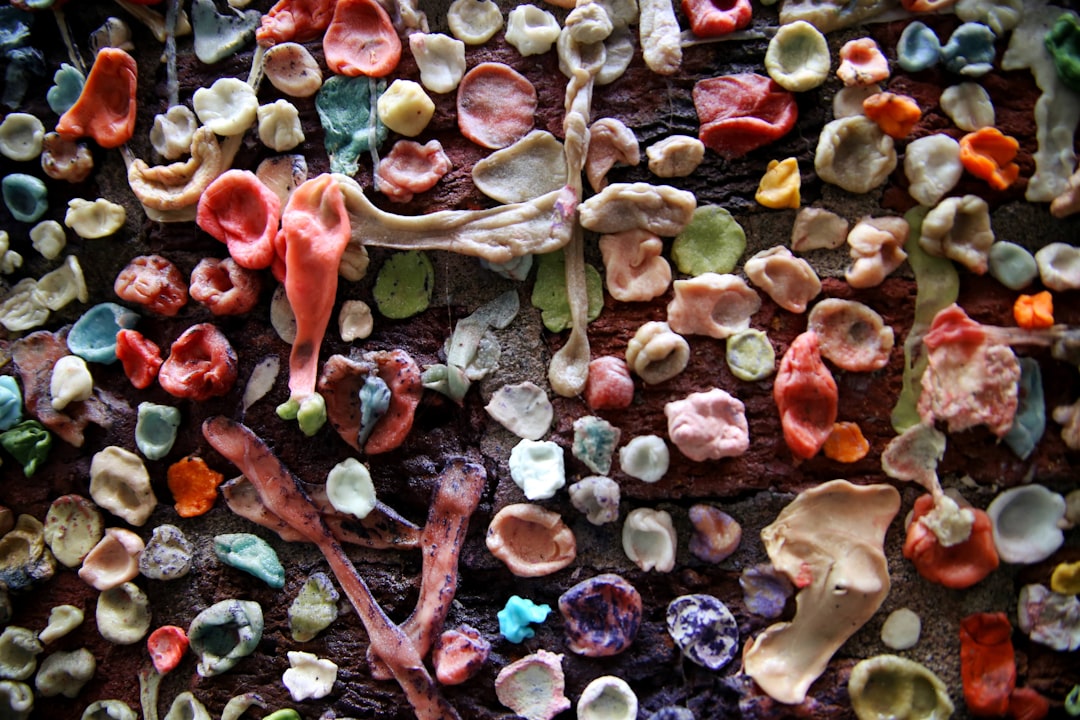 Knutselen met schelpen: creatieve ideeën uit de natuur - Waddencity
